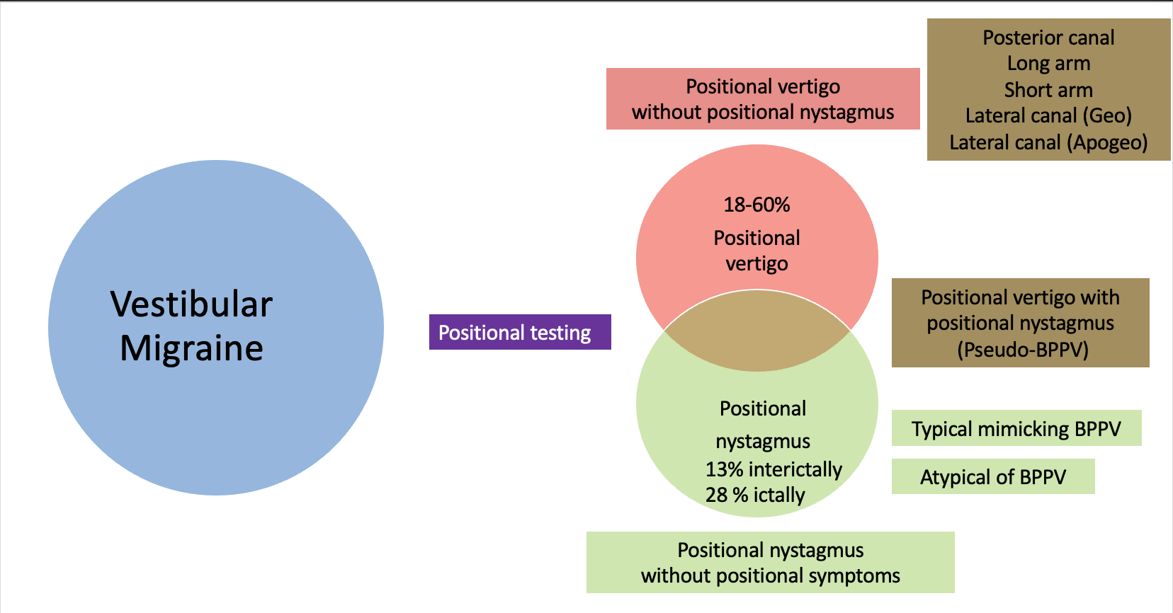 Positional Vestibular Migraine: A Distinct Clinical Entity :: IFOS 2026 ...